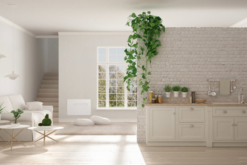 Rac Solo | Oceanair UK